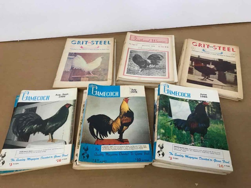 The Gamecock and Grit and Steel Magazines | February Combined ...